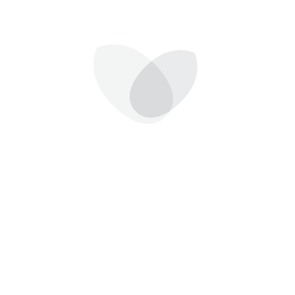 Nuez Pecana beneficios: 10 ventajas de este Delicioso Fruto Seco ...